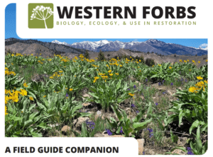 Field Guide | Western Forbs